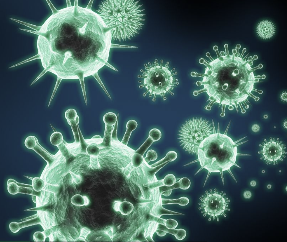 6 Superfoods to Supercharge Your Immunity: Nature's Defense